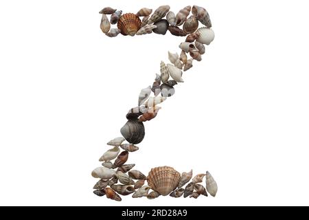 Letter S, summer concept idea. Letter S made with sea shell isolated on ...