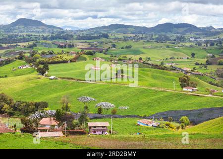 Green rural landscapes in Colombian mountains, South America Stock ...