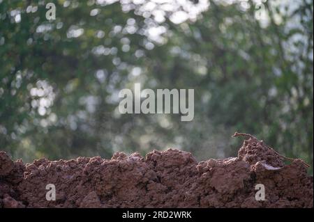 Fresh steaming earth soil in green nature Stock Photo - Alamy
