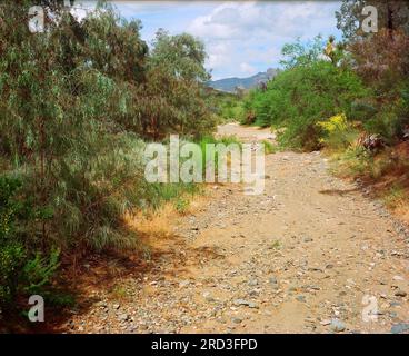 Arizona arroyo dry stream bed that provides a temporary drainage ...