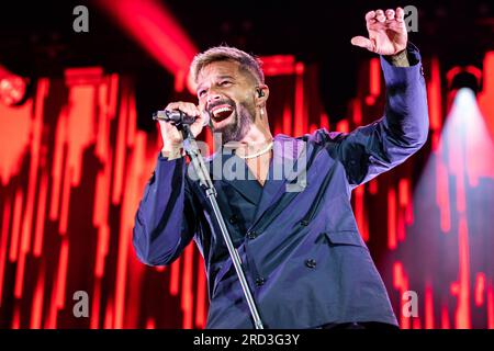 Ricky Martin performs live on stage in concert during the "Christmas By ...