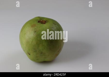 Guava fruit. It is a small pear shaped fruit with light green bumpy ...