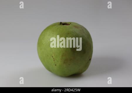 Guava fruit. It is a small pear shaped fruit with light green bumpy ...