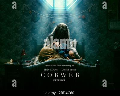 Cobweb film Woody Norman Stock Photo - Alamy