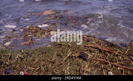 Floating debris has reached Black Sea beaches in Odessa, Ukraine ...