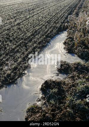 Ice flowers, ice formation, ice formations Stock Photo - Alamy