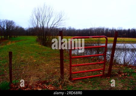 A closed metal gate marking the boundary between the yard and the field ...