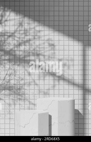 Simple monotone background with vases, tree shadows and natural light ...