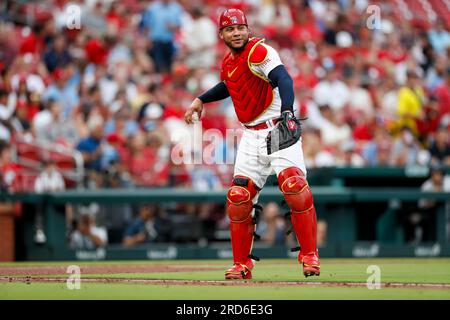 Willson Contreras #40 of the St. Louis Cardinals celebrates during a ...