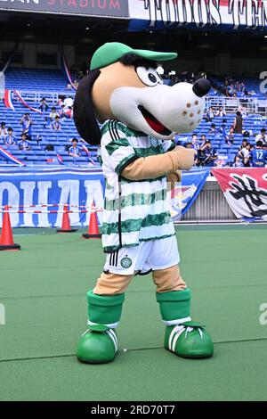 Kanagawa, Japan. 19th July, 2023. Hoopy (Celtic) Football/Soccer ...