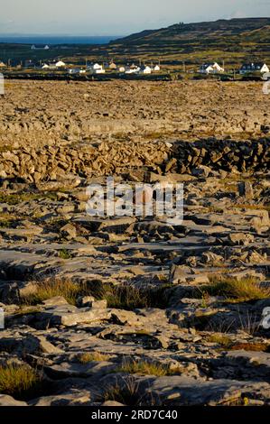 HOUSES AND STONE WALLS ON INISHMORE, ARAN ISLANDS, IRELAND Stock Photo ...