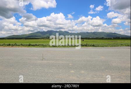 Tiaong, Philippines. July 19, 2023 : Work in progress on one of the ...