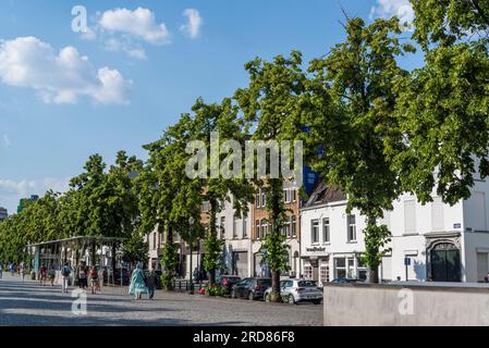 Saint Catherine square, in the mornings it serves as Fish market ...