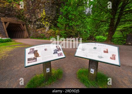 Interpretive sign at Oneonta Gorge and tunnel, Columbia River Gorge ...