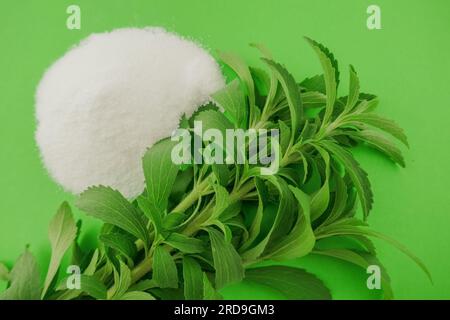 Green stevia and granulated sugar circle on green background.Stevia ...