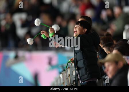 Norway fans cheer on the stands during the medal ceremony of the cross ...