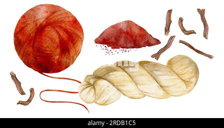 Hand drawn watercolor madder root coloring natural plant dye, materials ...