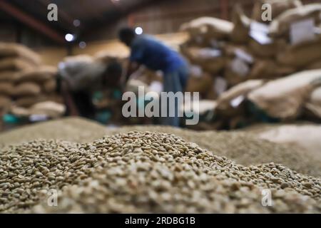 (230720) -- ADDIS ABABA, July 20, 2023 (Xinhua) -- This photo taken on ...