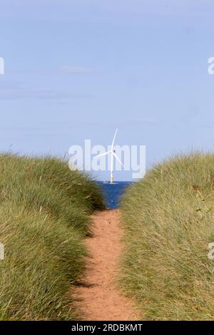 Modern offshore wind turbine power plant, 2.0 MegaWatt Vestas V80 and ...