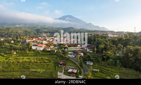 Aerial view of Enjoy the morning with the expanse of rice fields and ...