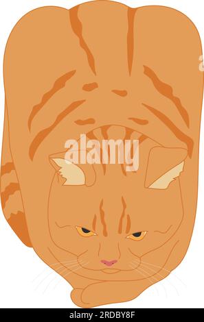 cat and bread kawaii Stock Vector Image & Art - Alamy