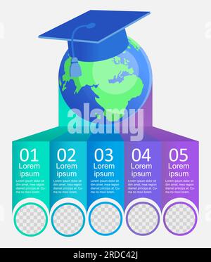 Higher education infographic chart design template Stock Vector Image ...