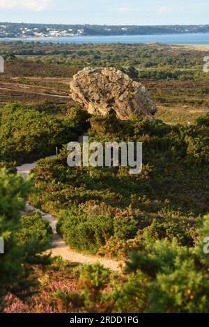 Agglestone Rock is a 400-tonne sandstone landmark on the Isle of ...