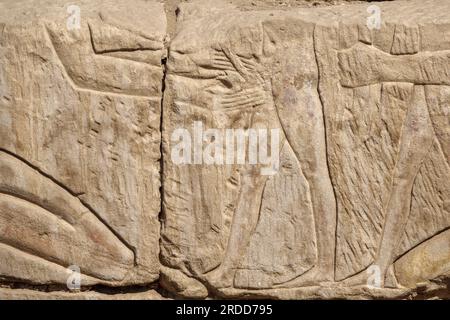 Circumcision scene at the Precinct of Mut, at Karnak Temple, Luxor ...