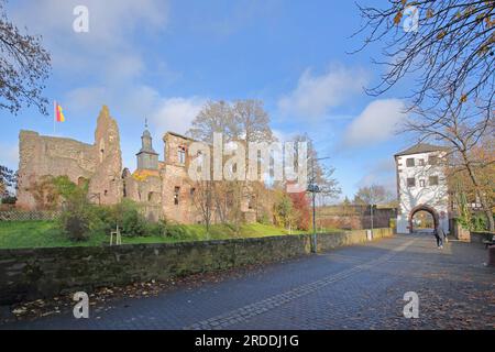 Romanesque palace of Hayn Castle and Untertor, Dreieichenhain, Dreieich ...