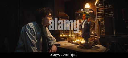 RELEASE DATE: December 15, 2023. TITLE: Wonka. STUDIO: Warner Bros. DIRECTOR: Paul King. PLOT ...