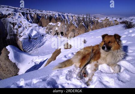 Valle Bagil Dere.Uçhisar.Capadocia.Anatolia.Turquia Stock Photo - Alamy