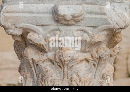 Ancient column with column head, capital, abacus, Kourion, Cyprus Stock ...