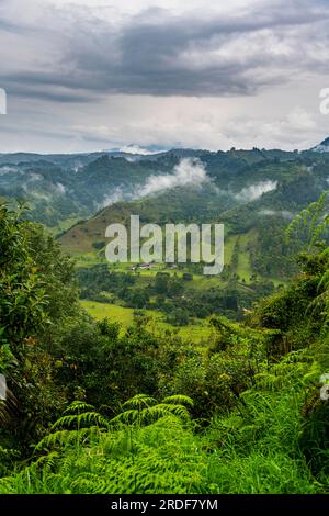 Overlook over Salento, Unesco site coffee cultural landscape, Salento ...