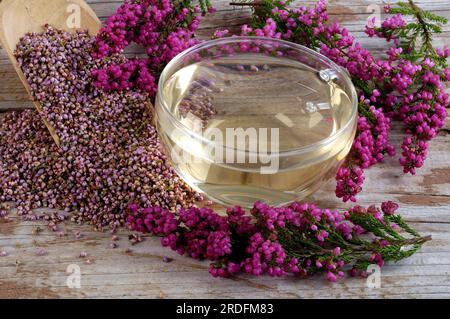 Cup of heather tea, dried flowers (Erica Stock Photo - Alamy