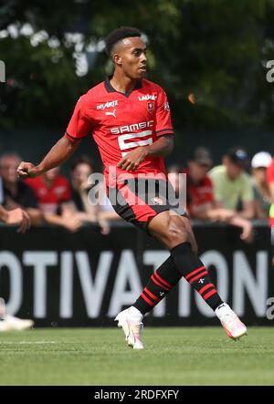Guela Doué of Stade Rennais during the football Amical 2023 between ...