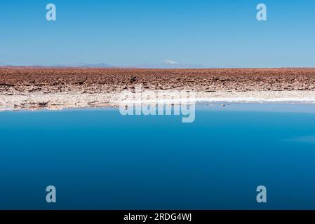 Landscape at one of the seven Baltinache hidden lagoons in Atacama ...