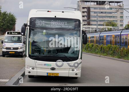 Electrical BYD busses at Zwolle busplatform for regional and local ...