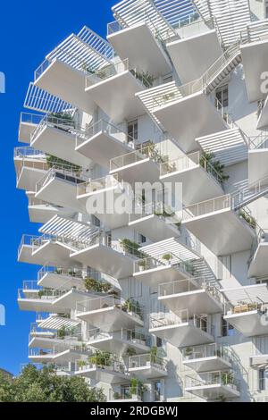 L'Arbre Blanc - White Tree - in Montpellier. Modelled on a tree, the ...