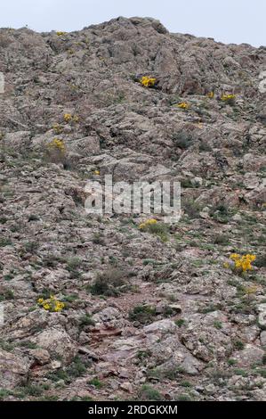 Andesite, a porphyritic volcanic rock Stock Photo - Alamy