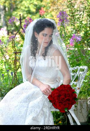 Red garden roses surrounded by pretty leaves with a beautiful green ...