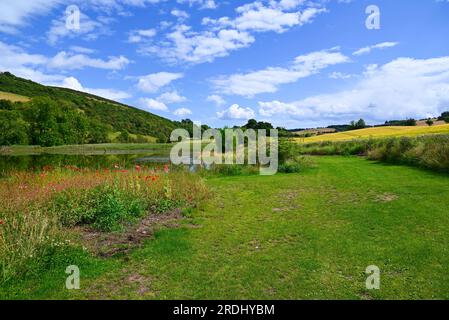 Goldenloch Fife Scotland Stock Photo - Alamy