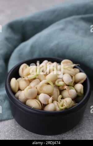 Sprouted kidney beans in bowl on light grey table, top view. Space for ...