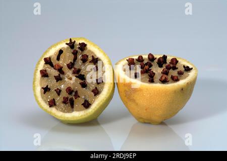 Lemon with Cloves, insect control, combat through smell Lemon Cloves ...