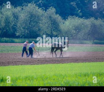 Farmers ploughing by hand and horse Stock Photo - Alamy