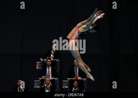Zhu Zifeng and Lin Shan of China compete in the mixed diving 3m synchro ...