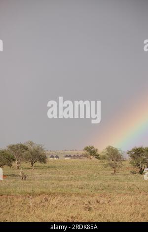 Rainy season in Kenya's savanna. Beautiful landscape in Africa at rainy ...