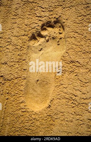 Platja Llarga Salou beach in Tarragona of Catalonia Stock Photo - Alamy