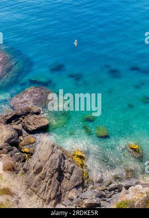 Seagull over Mediterranean rocks Stock Photo - Alamy