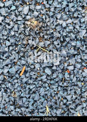 Black all-weather synthetic track surfacing made of polyurethane used ...