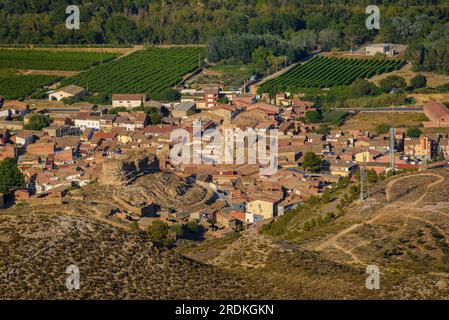 The town of Torrente de Cinca and its agricultural surroundings seen ...